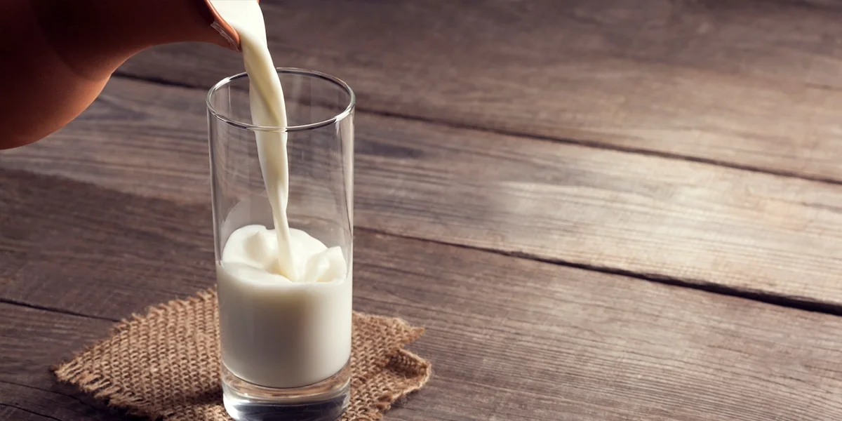 Milch – Nährstoffe und Alternativen | DocMorris Ratgeber