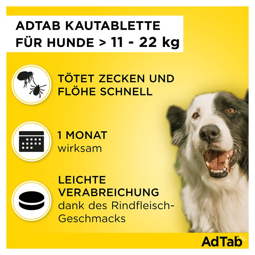 AdTab Hund 11 - 22 kg Kautablette 3 St online kaufen | DocMorris