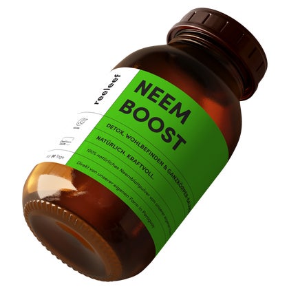 Neem Boost 90 St online kaufen | DocMorris