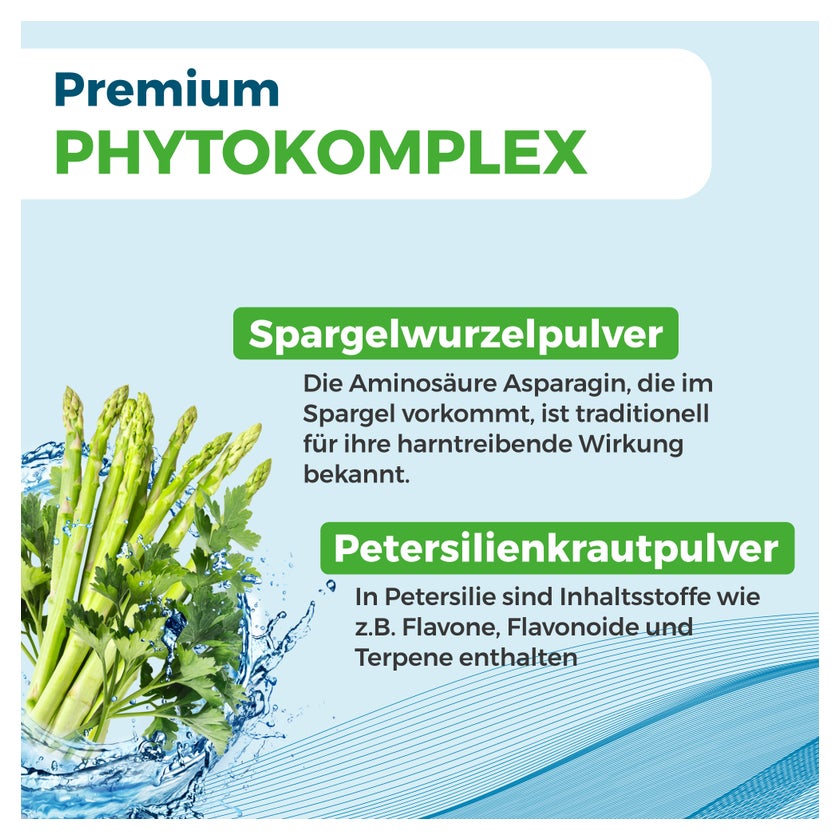 Nyrax Aqua Balance Während Entwässerungs-kuren Kps 100 St online kaufen ...