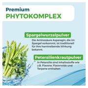 Nyrax Aqua Balance Während Entwässerungs-kuren Kps 100 St online kaufen ...