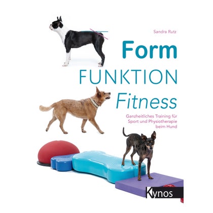 Form Funktion Fitness 1 St online kaufen | DocMorris