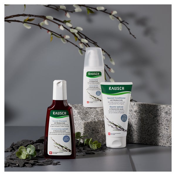 Rausch Spezial-shampoo mit Weidenrinde 40 ml, 40 ml online kaufen ...
