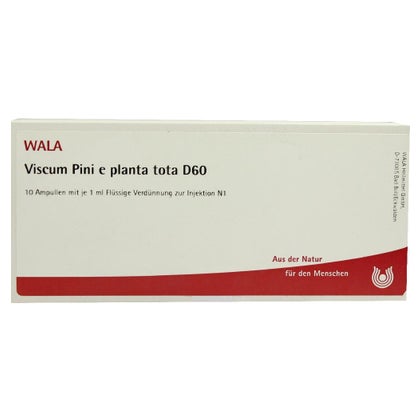 Viscum PINI e planta tota D 60 Ampullen 10X1 ml online kaufen | DocMorris