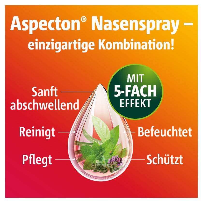 Aspecton Nasenspray 20 ml online kaufen | DocMorris