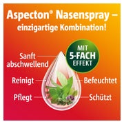 Aspecton Nasenspray 20 ml online kaufen | DocMorris