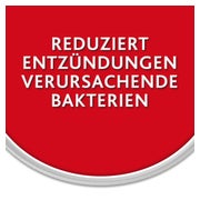 Chlorhexamed FORTE alkoholfrei 0,2 % 300 ml online kaufen | DocMorris