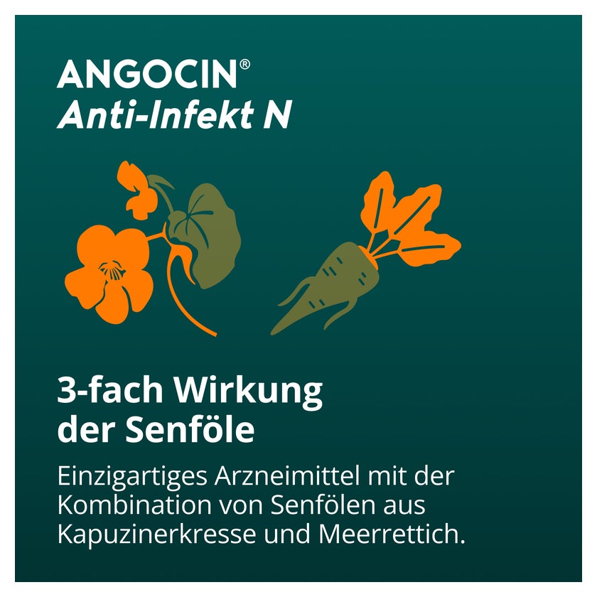 ANGOCIN Anti-Infekt N 100 St online kaufen | DocMorris
