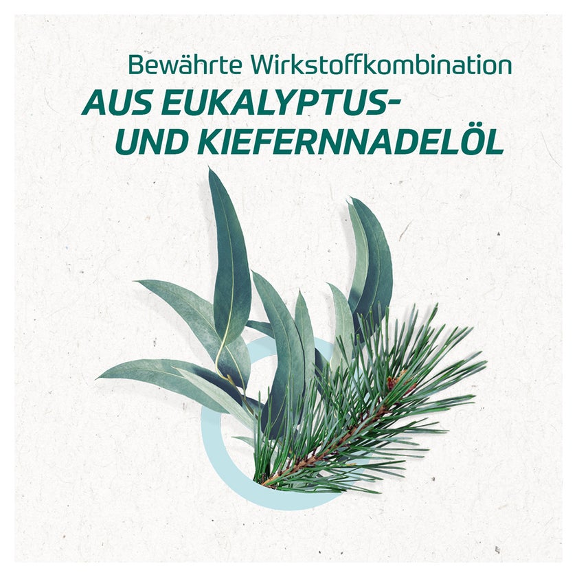 Eucabal Inhalat 20 ml online kaufen | DocMorris