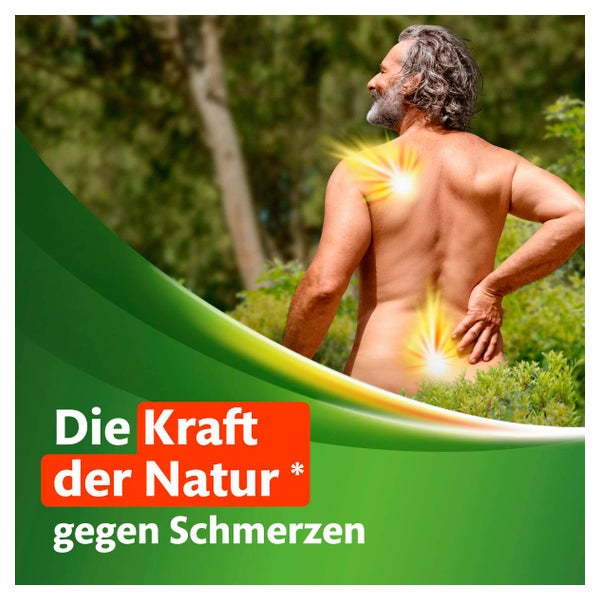 Kytta Schmerzsalbe 150 g, 150 g online kaufen | DocMorris