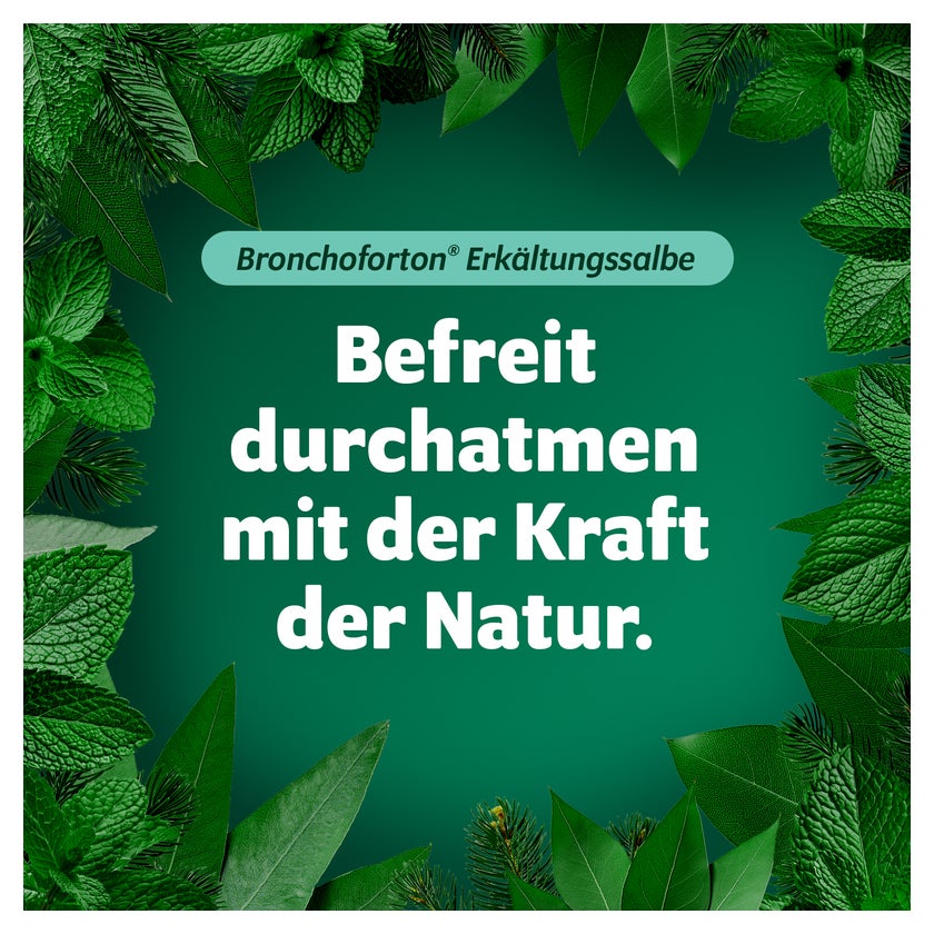 Bronchoforton Erkältungssalbe 40 g online kaufen | DocMorris