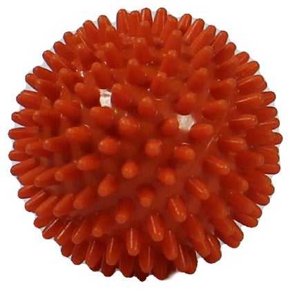 Igelball 6 cm orange 1 St online kaufen | DocMorris