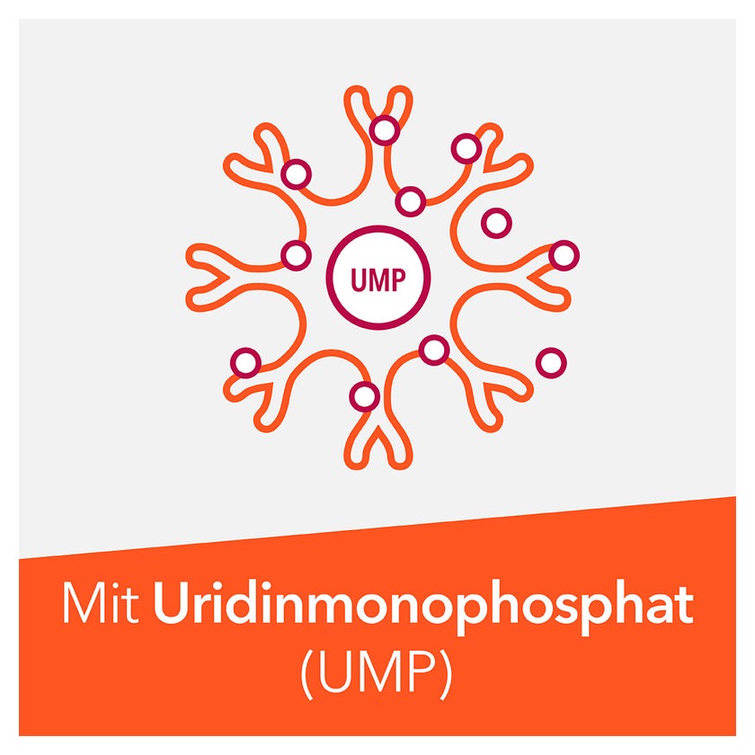 Neuropax-ratiopharm Forte Kapseln 40 St online kaufen | DocMorris